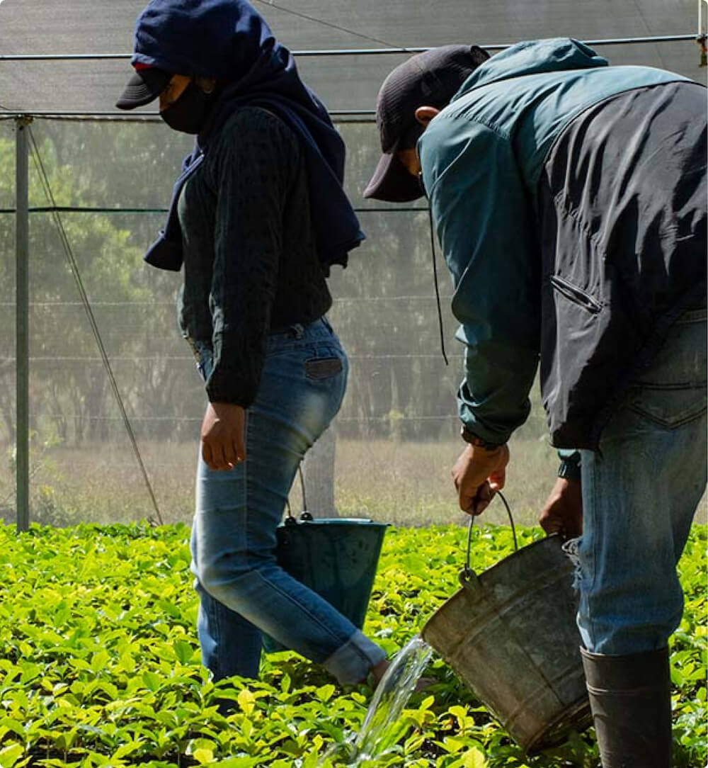 Daniel Katz 🤝 Dan Katz – Stella Blue Coffee